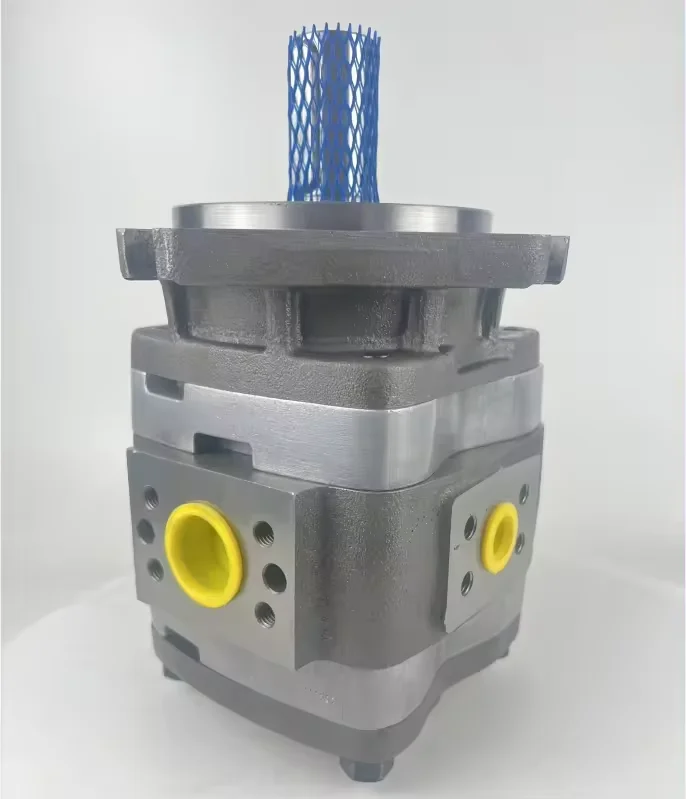 Ipv Ipvp Series Ipv5-64-101 Ipv7-160-111 Ipvp6 100 101 Ipv4-13 171 ...