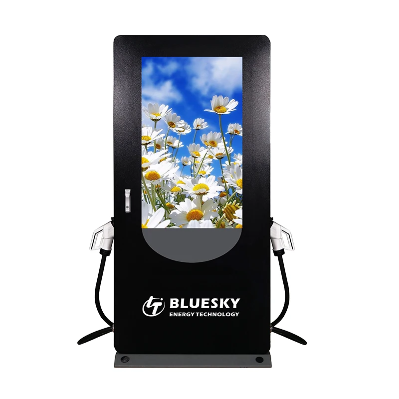 22kw Pos Ev Charger Station DC GB/T Ev Charger Supply Single Connector ...