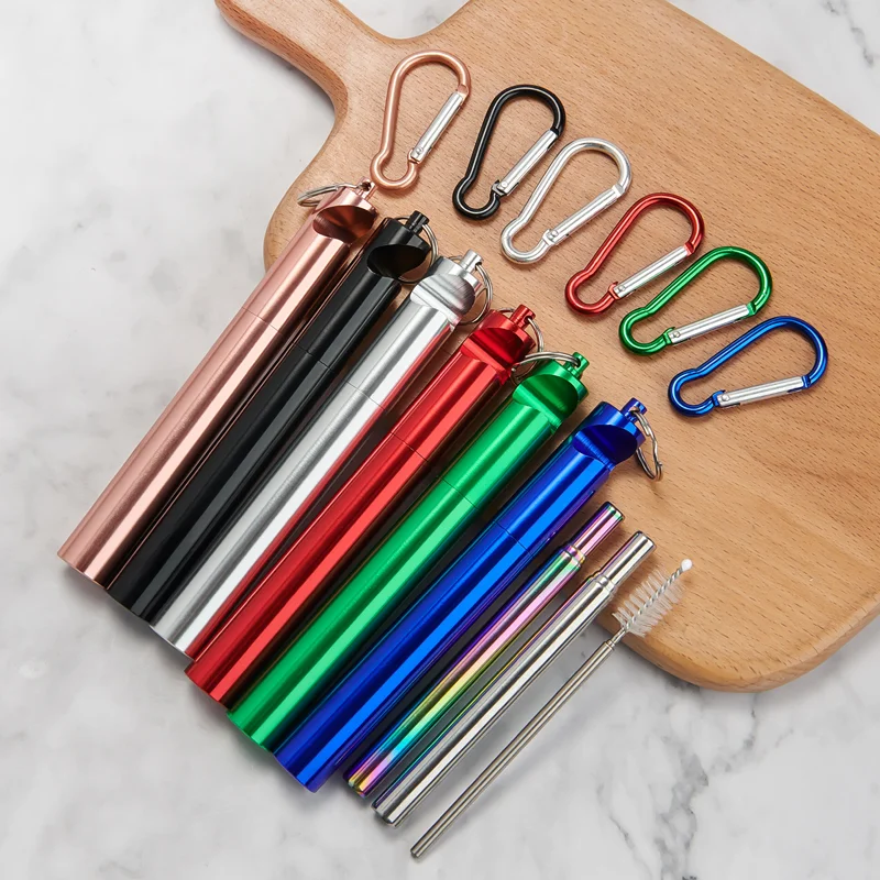 Stainless Steel Folding Collapsible Drinking Straw Kit