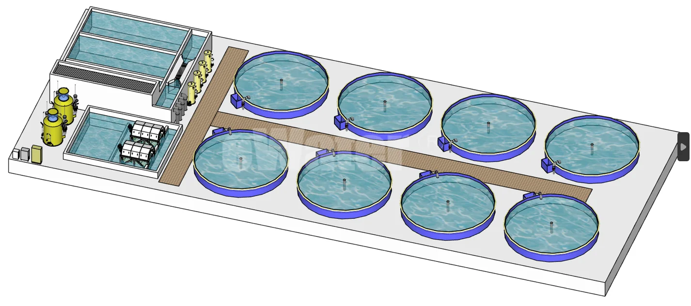 Ras Shrimp Farming Equipment - Efficient Recirculating Systems