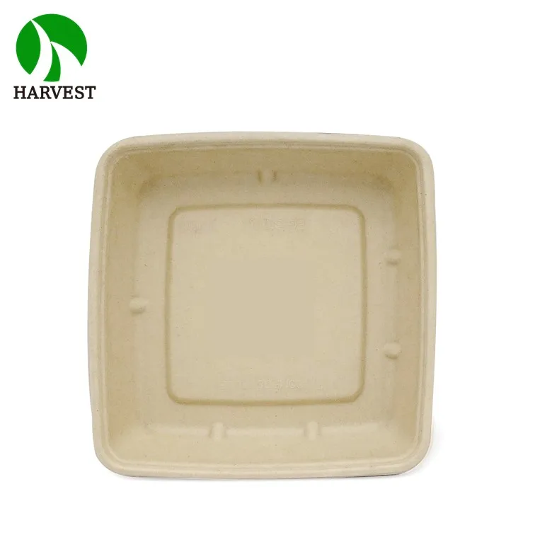 100 Compostable Paper Based Square Disposable Biodegradable Lunch Food ...