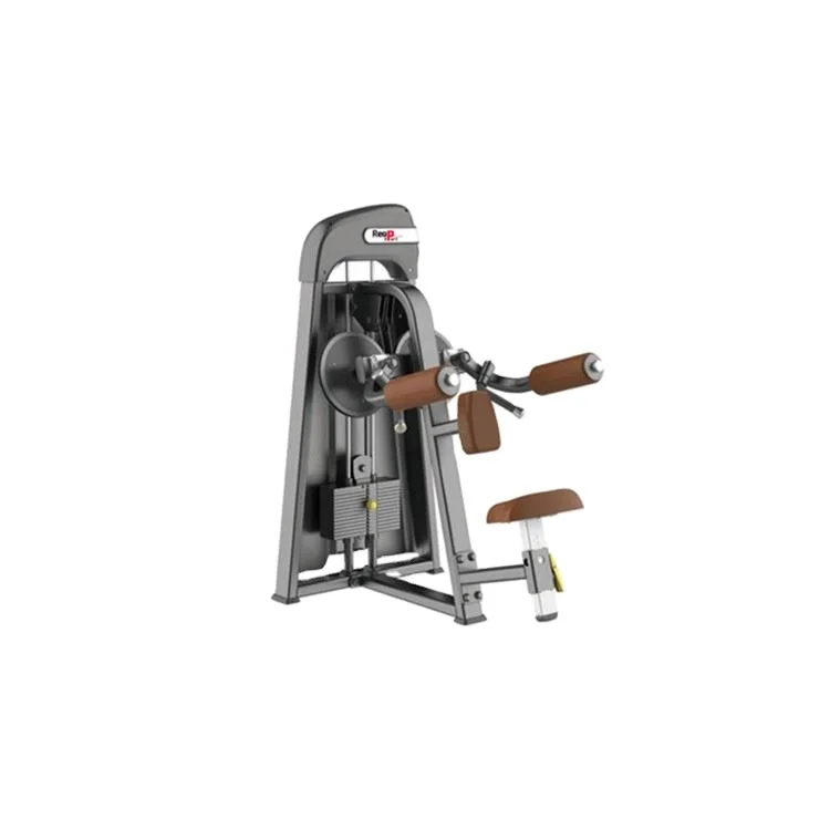 Deltoid Raise Commercial Lateral Gym Raise Machine Shoulder Training ...