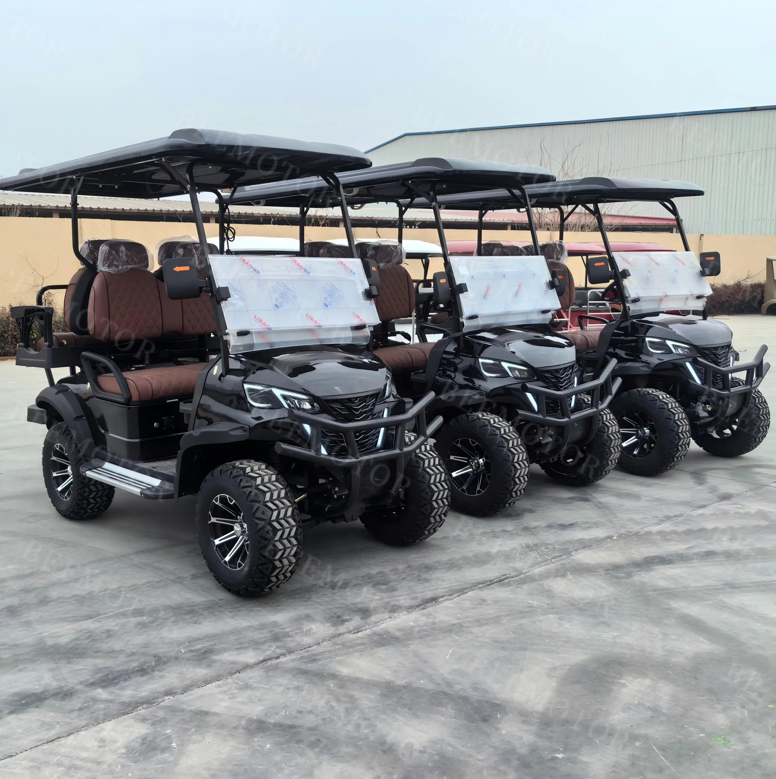 Beemotor Electric Golf Carts - 2 to 4 Seaters with AC Motor