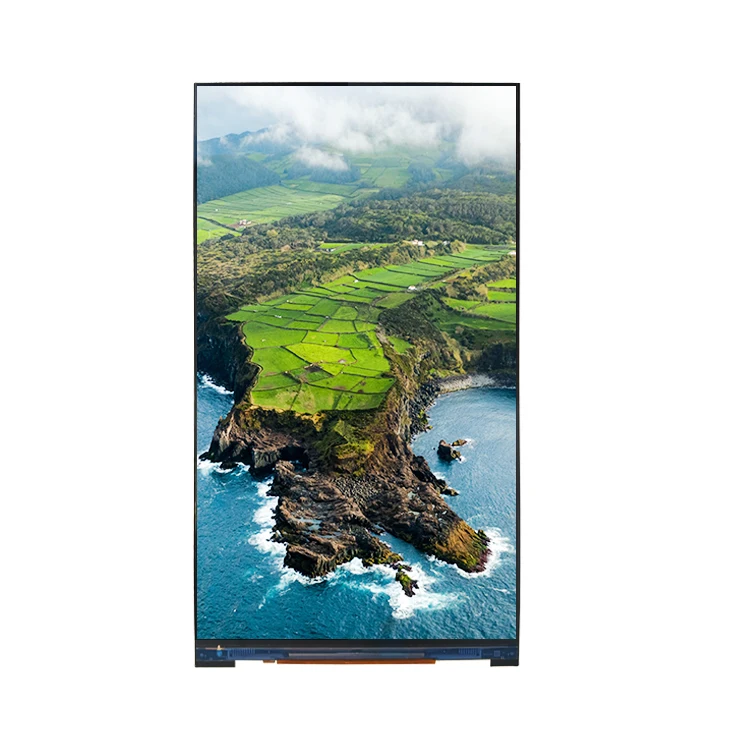 6 inch FHD 1080P IPS MIPI TFT LCD Display Module 6.0inch 1080*1920 LCD ...