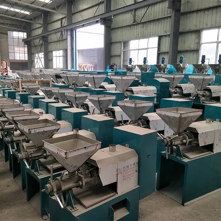 1t/h Palm Oil Press Line - Efficient & Energy Saving