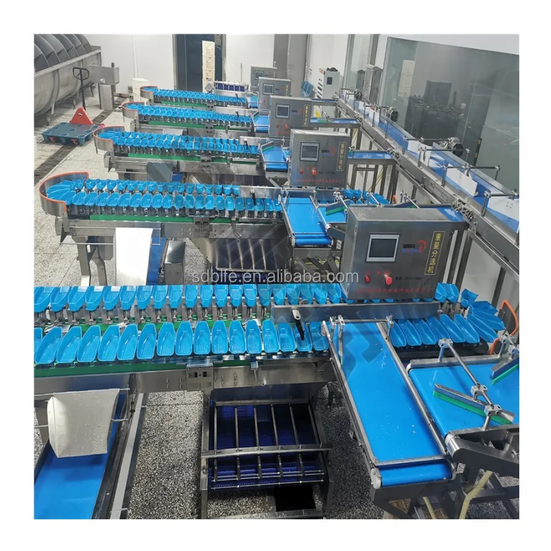 Size Classification Vegetable Selection Machine Sorter mango Grading ...