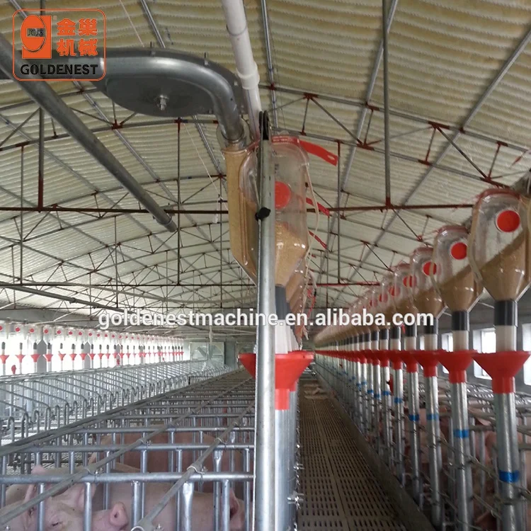 Famous Goldenest Disc Chain Plate Conveyor Feed Transporation Feed ...