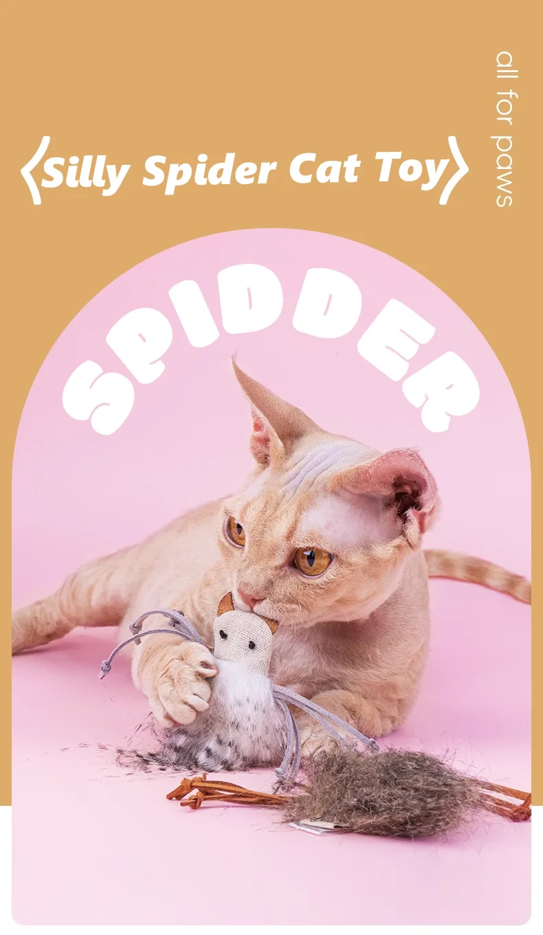 AFP Silly Spider Catnip Toy - Durable & Fun Chew Toy