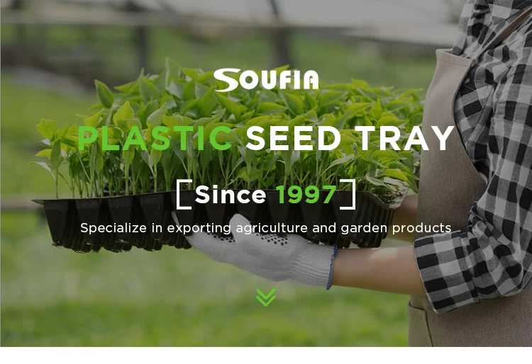 Wholesale Plastic Paddy Flat Forestry Sprouting Rice Seedling Trays ...