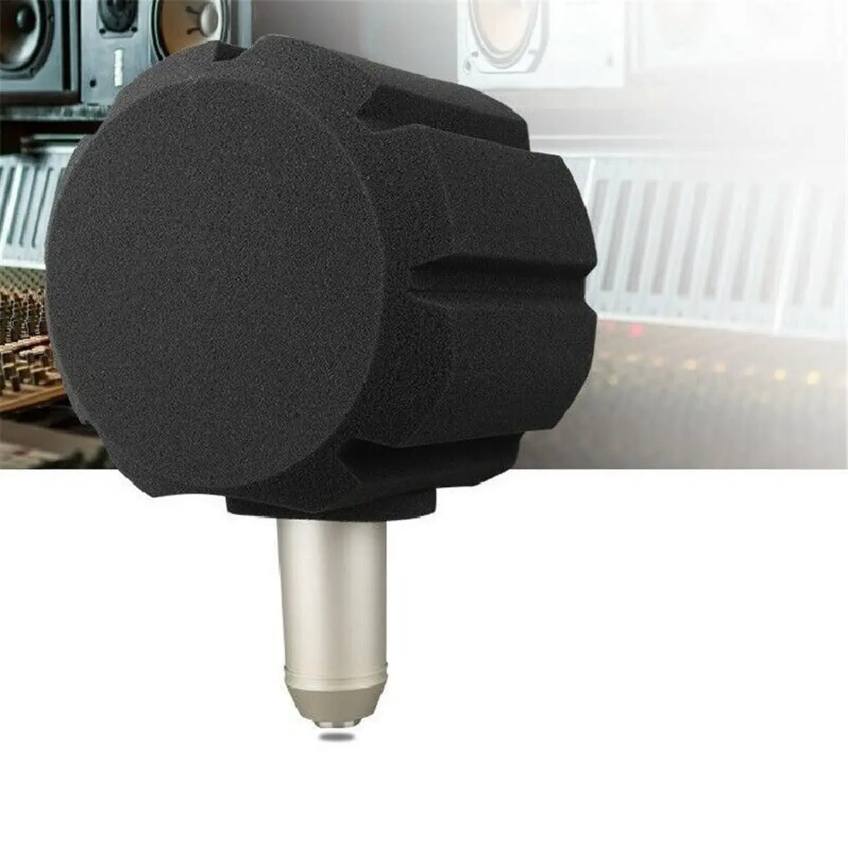 Professional Condenser Microphone Studio Screen Acoustic Filter ...