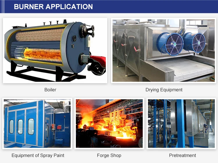 EDL FS20 Gas Burner for Boilers & Food Drying Equipment | 81-220kW ...