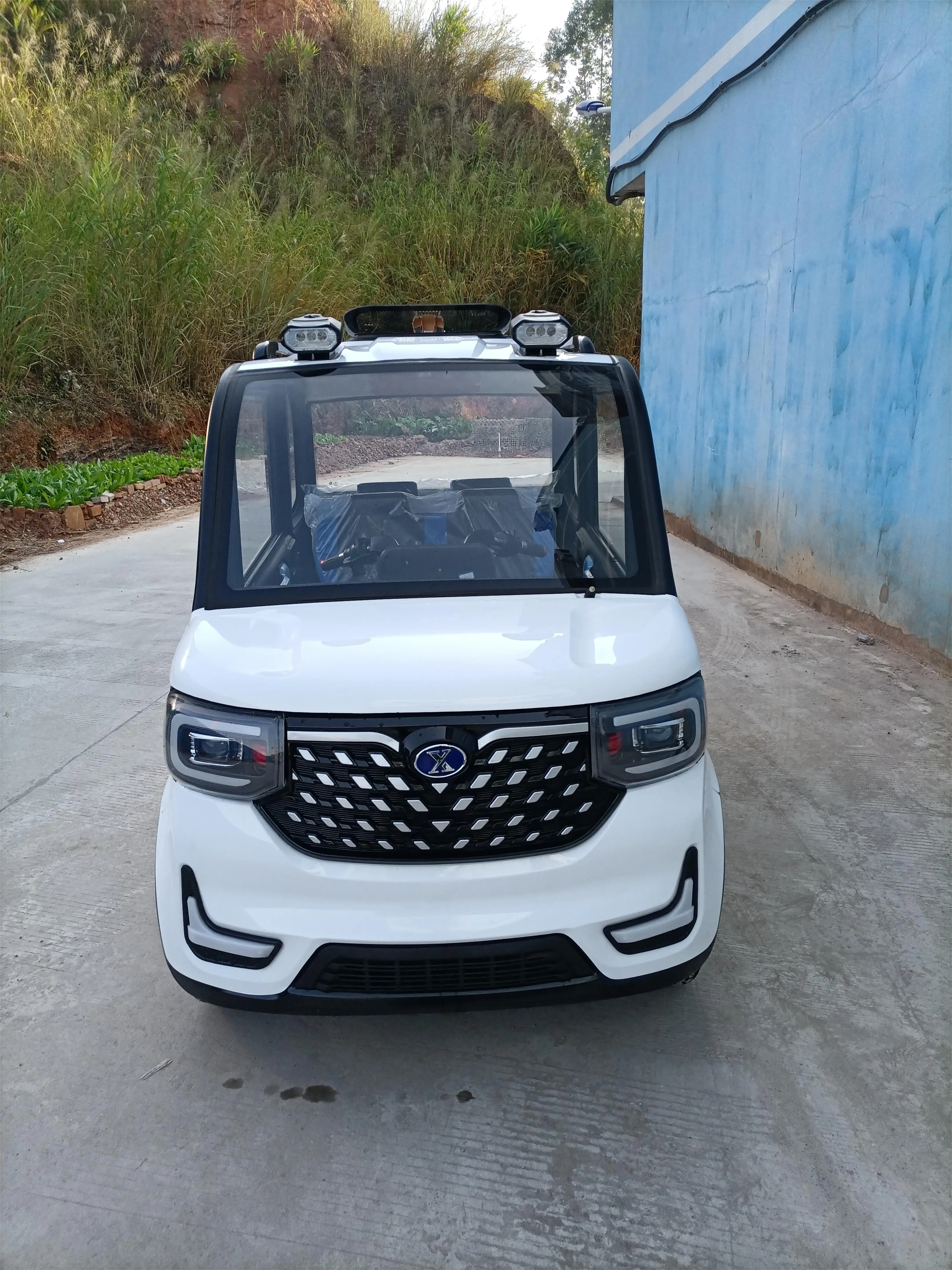 Electric Car with Handle Bar - Speed 45~55km/h - Customizable