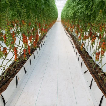 Hydroponic Growing Trough System Plastic Drainage Gutter Planting ...