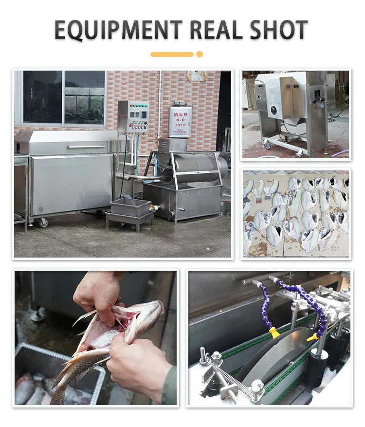Fish Processing Machine - Efficient & Reliable Solutions