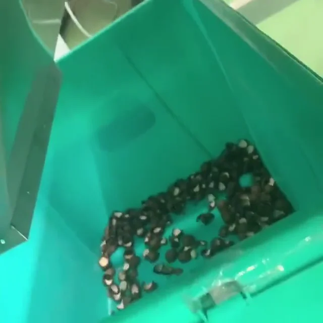 Italy Hazelnut Optical Selector For Hazelnut Sorting Optical Selection ...