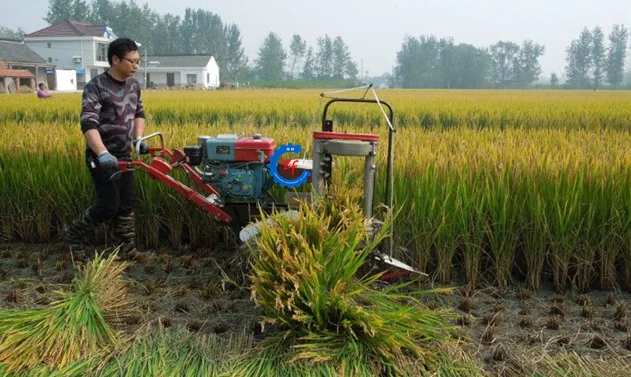 Mini Reaper Binder - Buy Wheat Reaper Binder,Grain Reaper Binder For ...