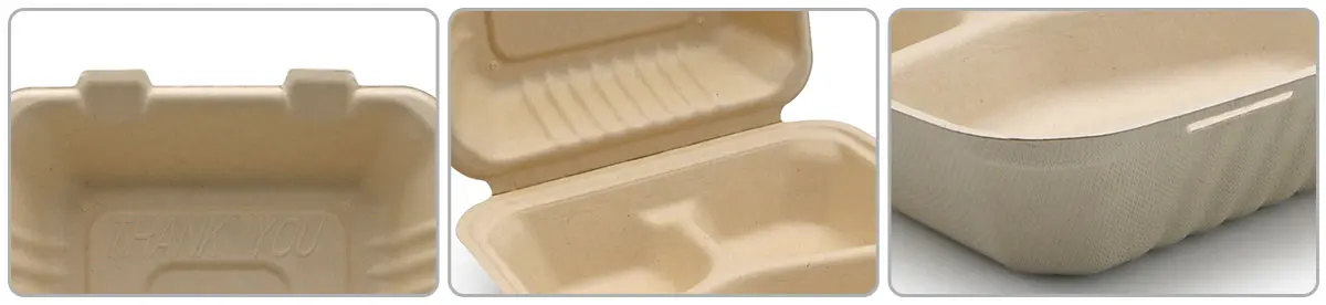 Oasis Customized Rectangle Biodegradable Food Packaging