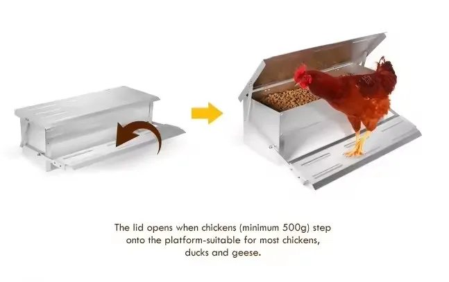 Outdoor Automatic Poultry Feeder 5kg Feed Automatic Foot Pedal Chicken ...
