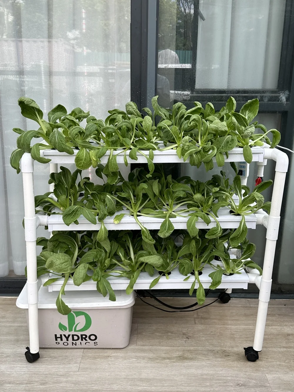 Small Garden Nft Channel Grow System Home Hydroponics Planting System ...