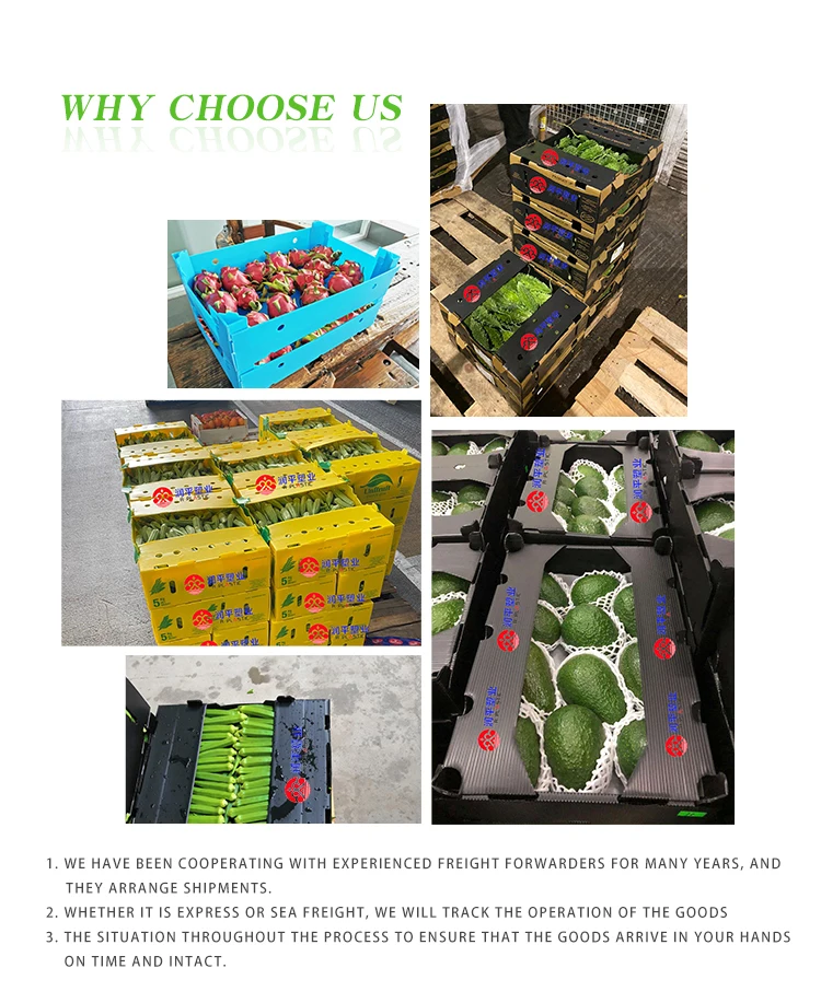 Fresh Okra Recyclable Durable Plastic Packaging Boxes Pp Polypropylene ...