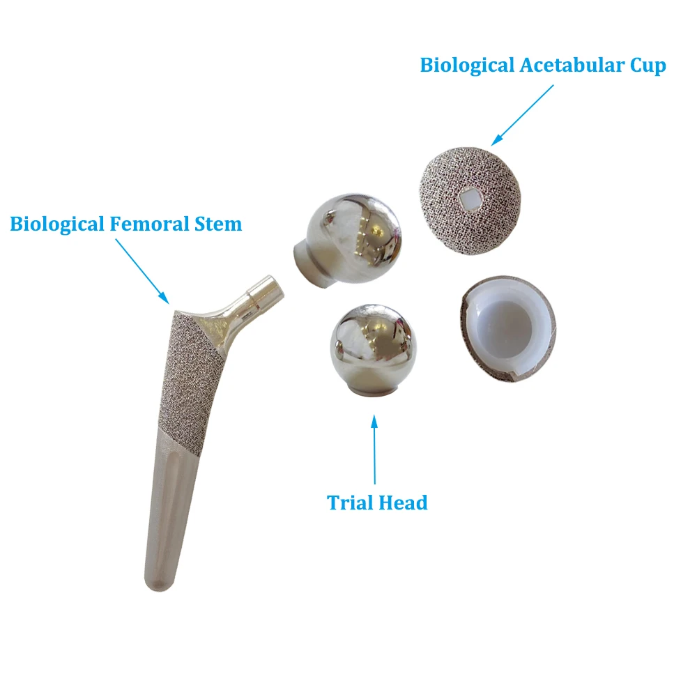 Veterinary Orthopedic Total Hip Joint Replacement for Dogs & Cats | OEM ...