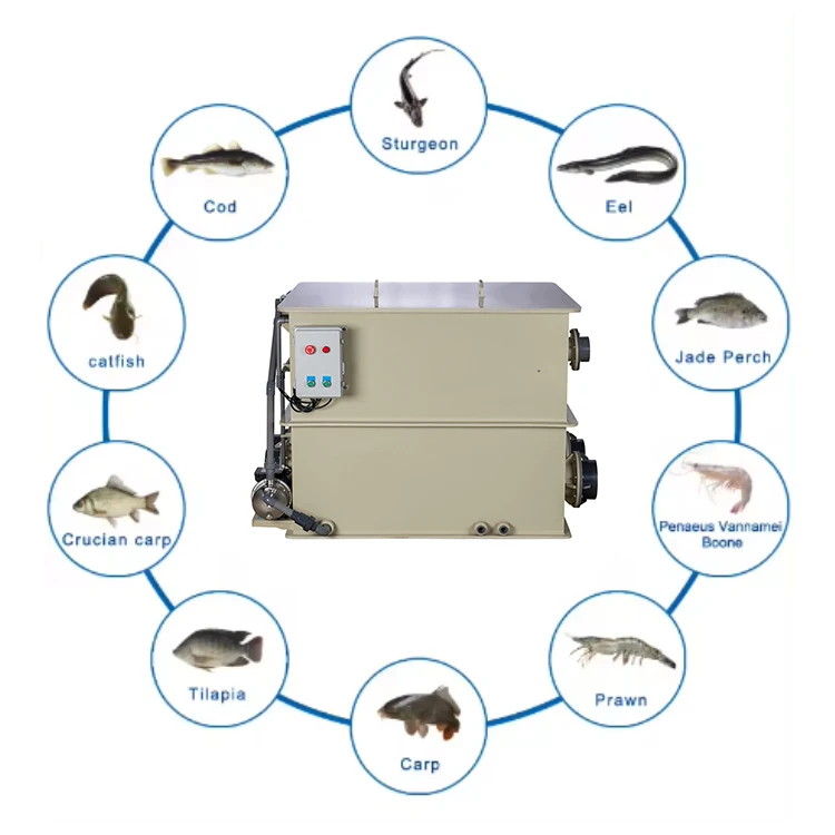 RAS high density Aquaculture fish farming equipment fish farm ...