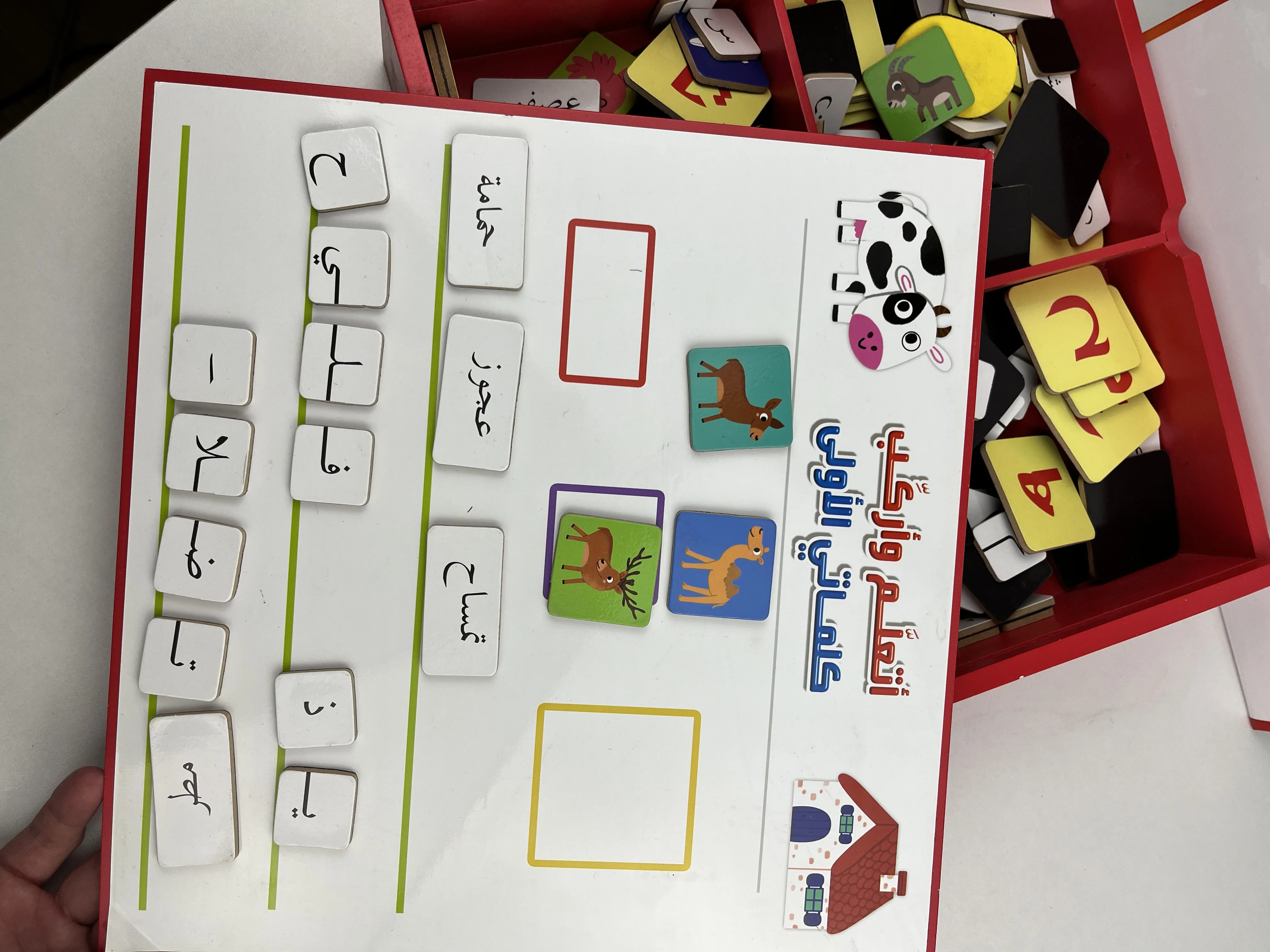 My Arabic First Words Card Toy - Educational Magnetic Fun