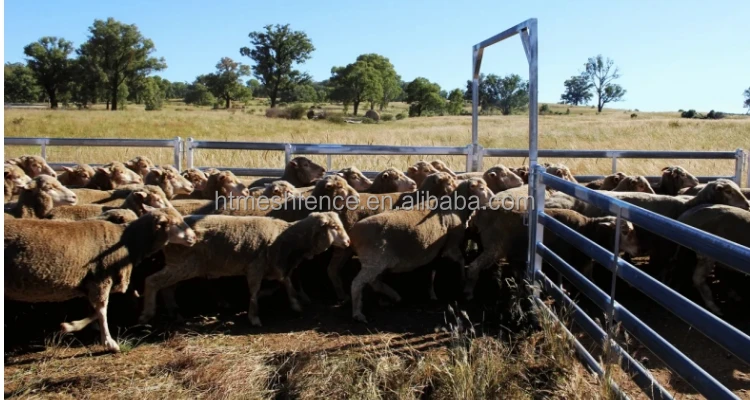 Hot Dipped Galvanised Metal Sheep Hurdle Iron Goat Corral Yard Fence ...