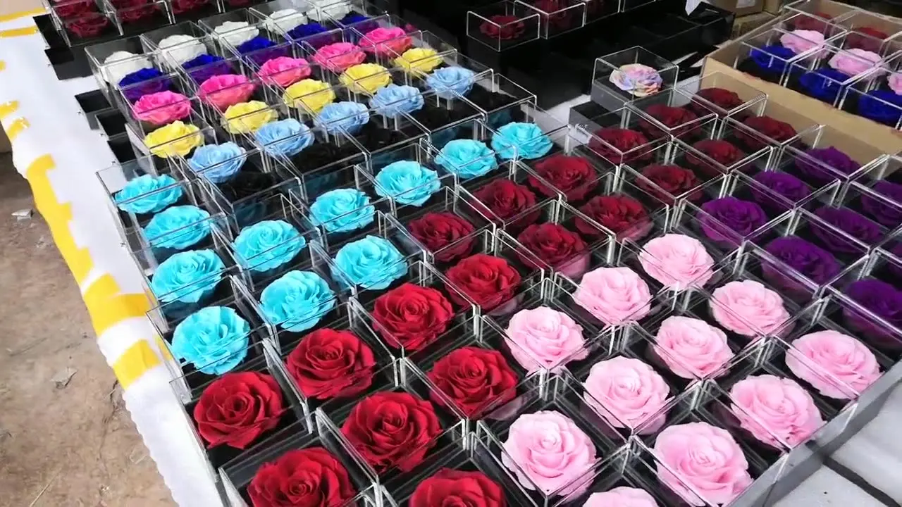 Eternal Rose Jewelry Box - Perfect Valentine's Gift