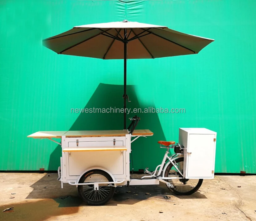 CE Electric Food Cart Tricycle for Fast Food Kiosk - Customizable ODM