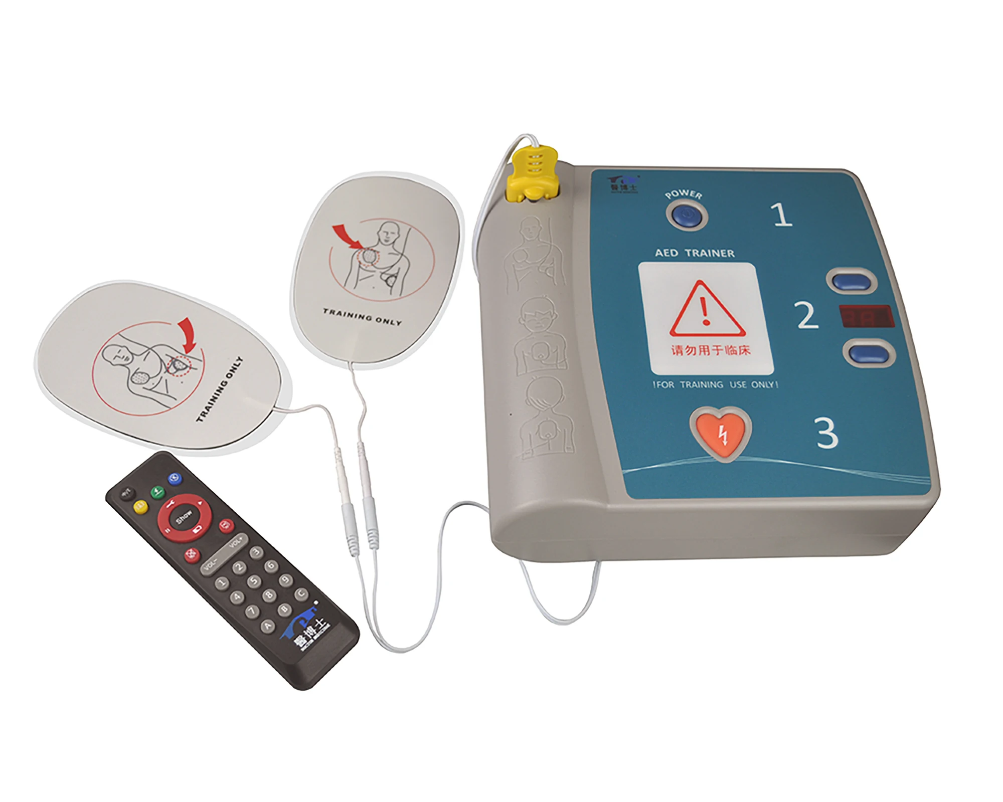 Medical Science AED Trainer - PVC Anatomical Model for First Aid Training