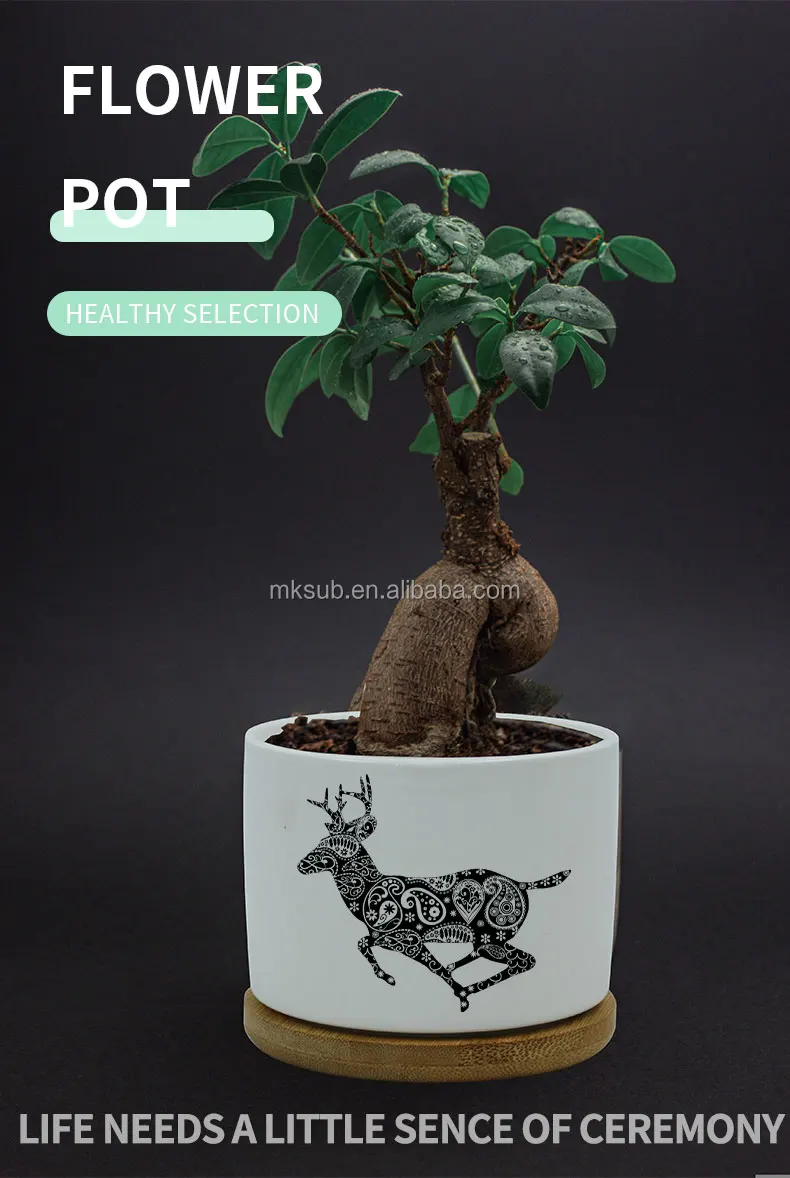 Wholesale Sublimation Blank Coated Custom Succulent Planter