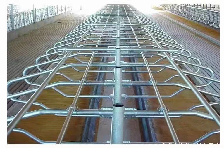 Dairy Cattle Housing Design - Hot Dip Galvanized Cow Free Stall
