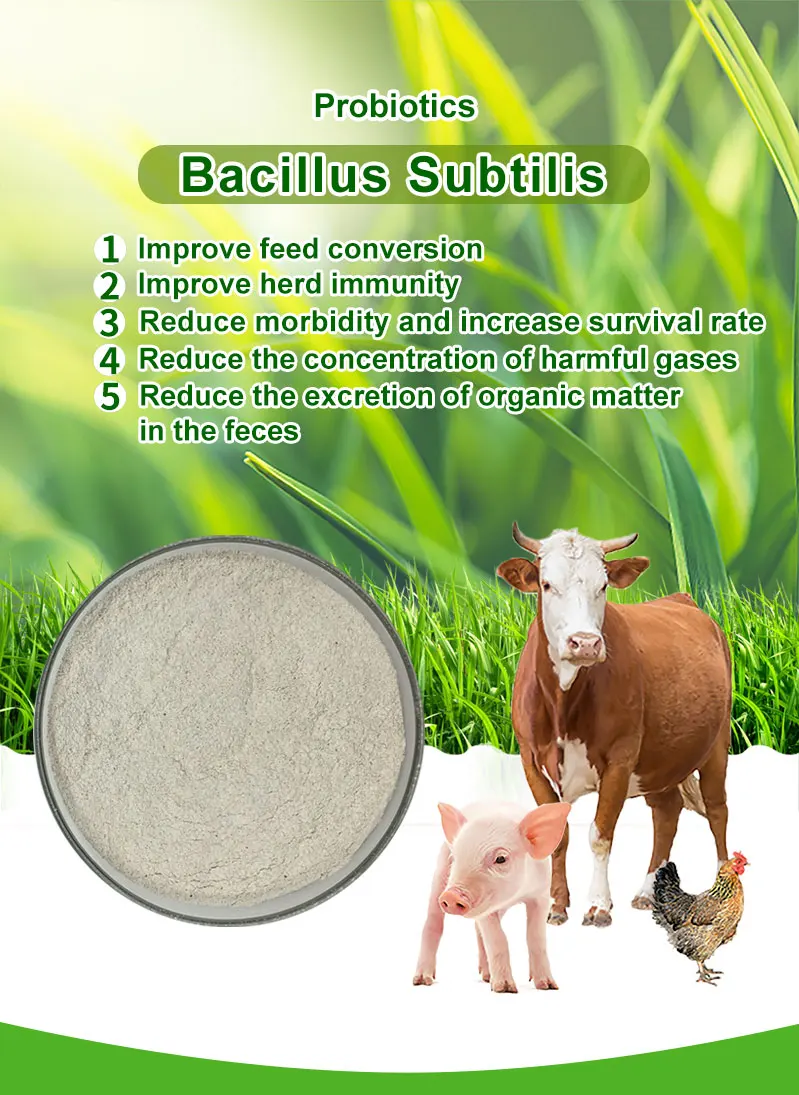 Shrimp Feed Premix Bacillus Subtilis for Aquatics & Livestock