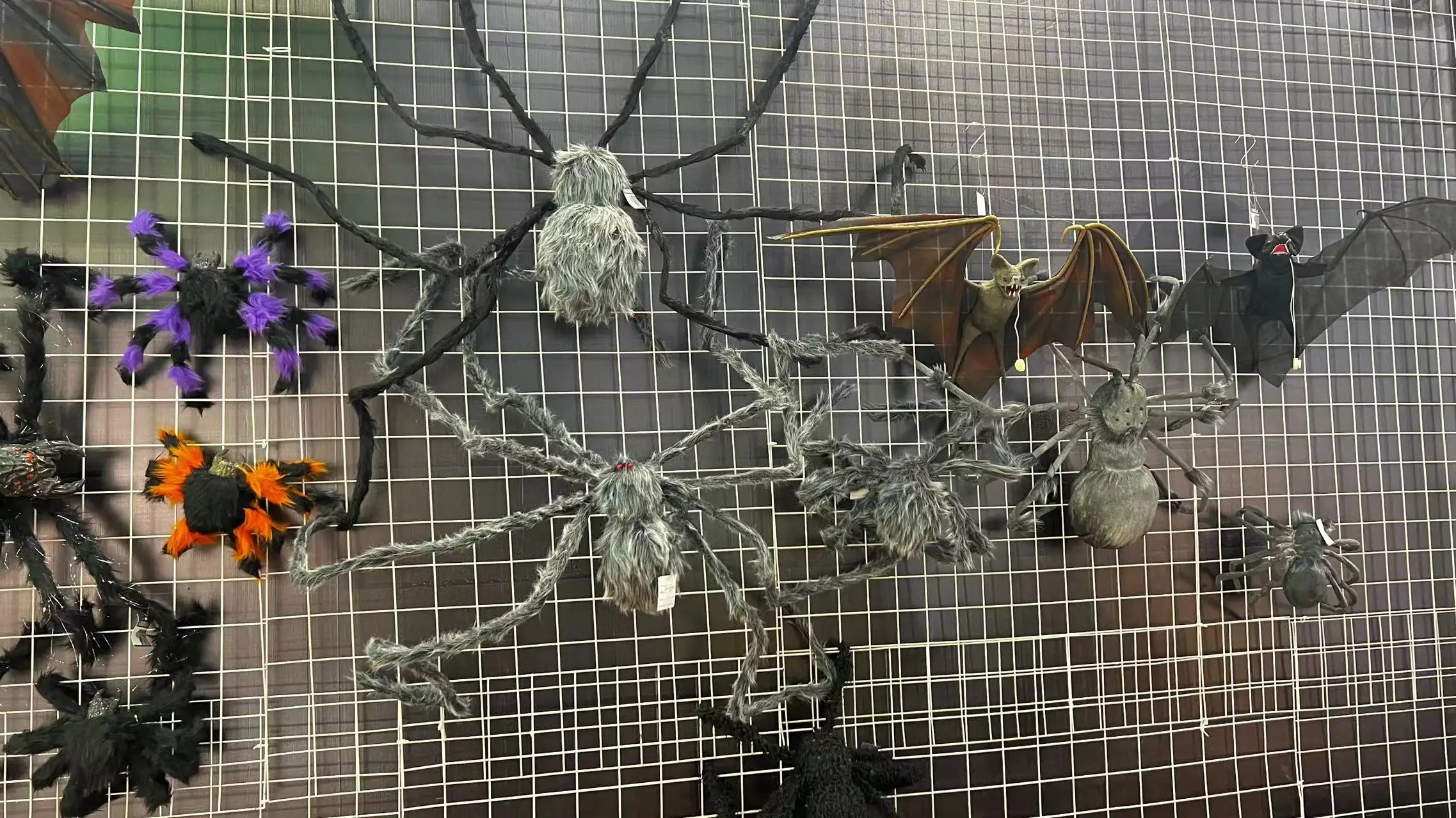 Halloween Black Spider Scary Big Spider for Outdoor Decorations ...