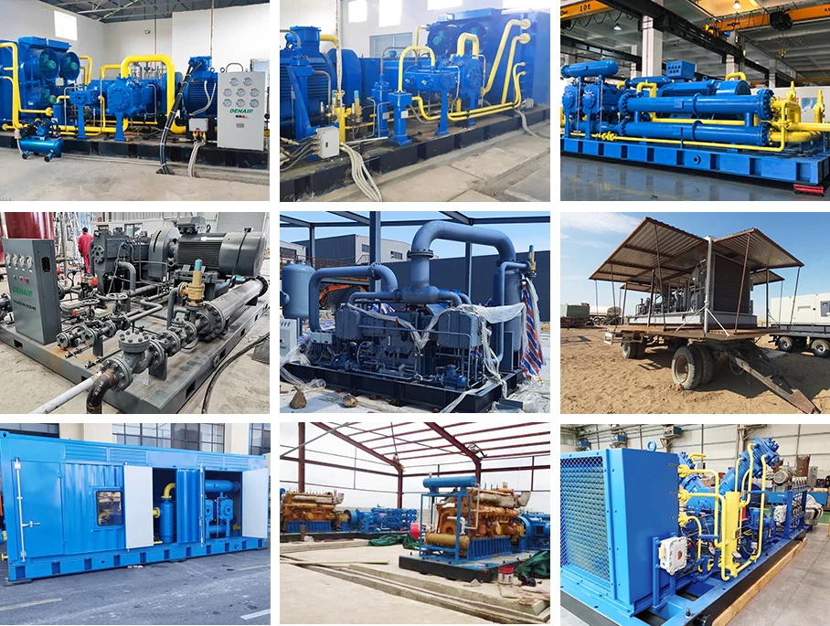 Industrial High Pressure Reciprocating Piston CNG Gas Compressor for Sale