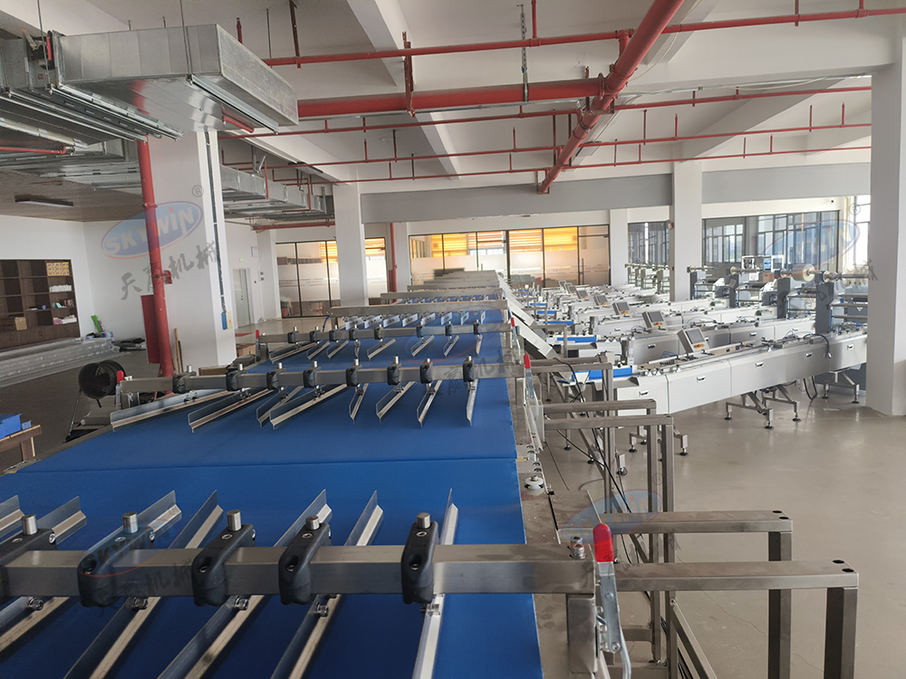 Auto Sorting Line Multi-rows Automatic Feeding Conveyor Connect With ...