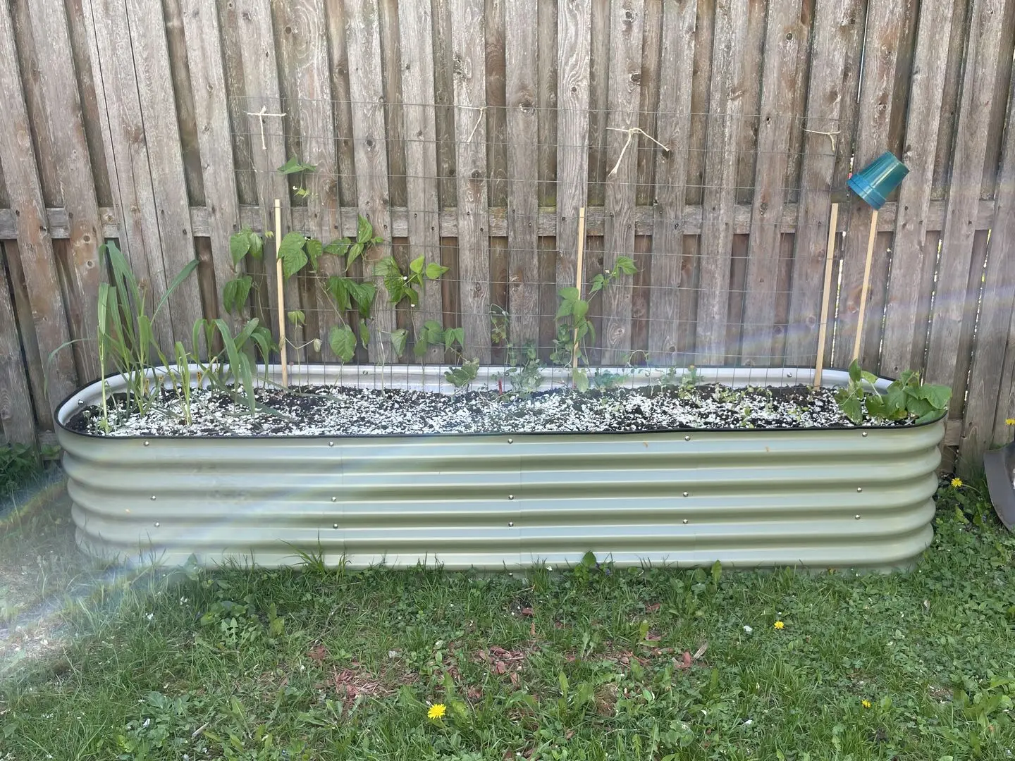 Metal Raised Garden Beds Outdoor Large Planter Box Galvanized Steel ...