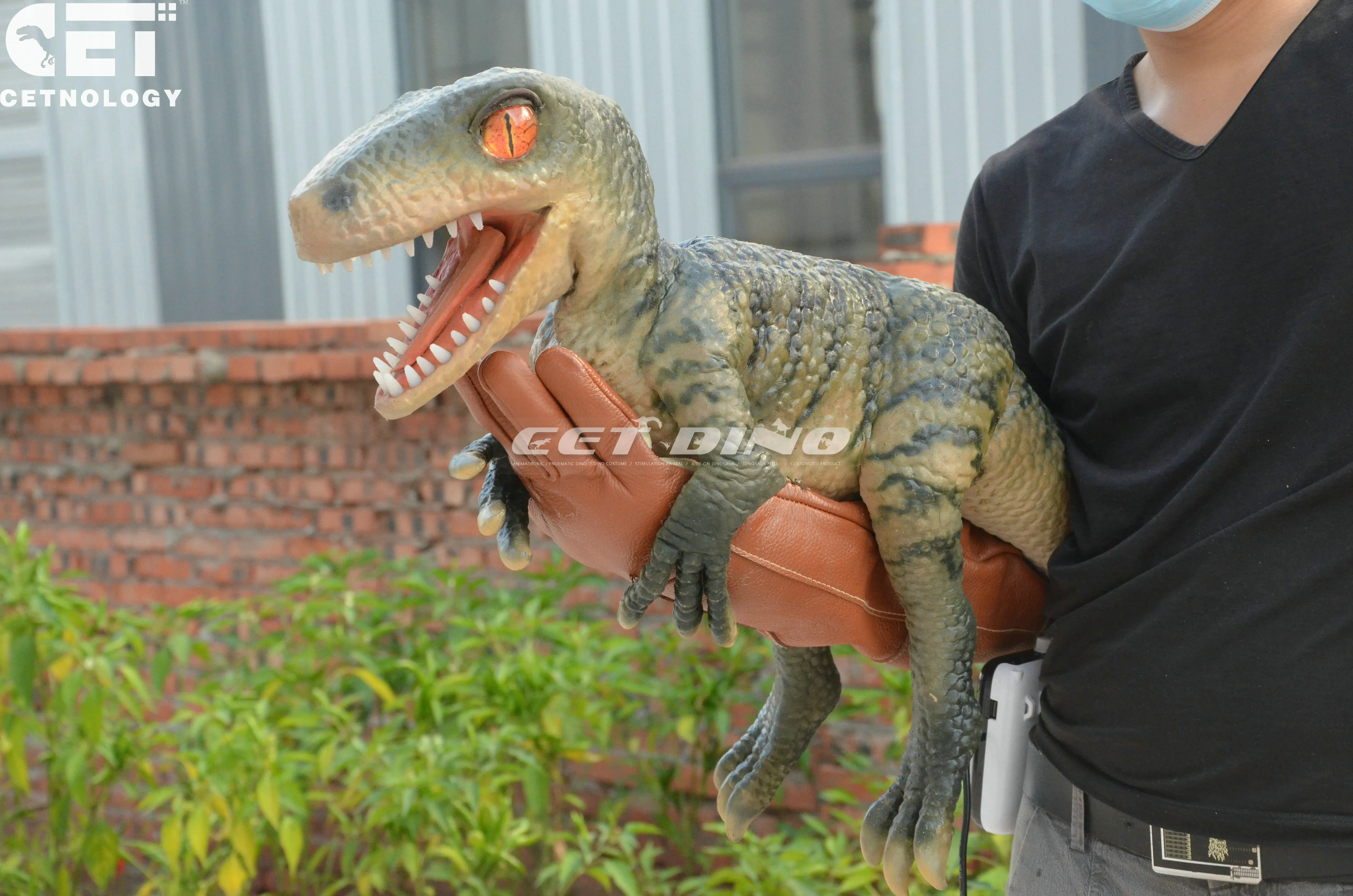 Dinosaur Hand Puppets 2022 Realistic Animatronic Dinosaur Baby Puppet ...
