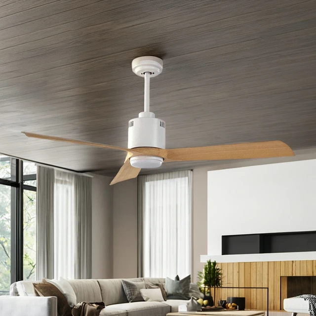 Company Overview - Foshan Desheng Electronics Co., Ltd.