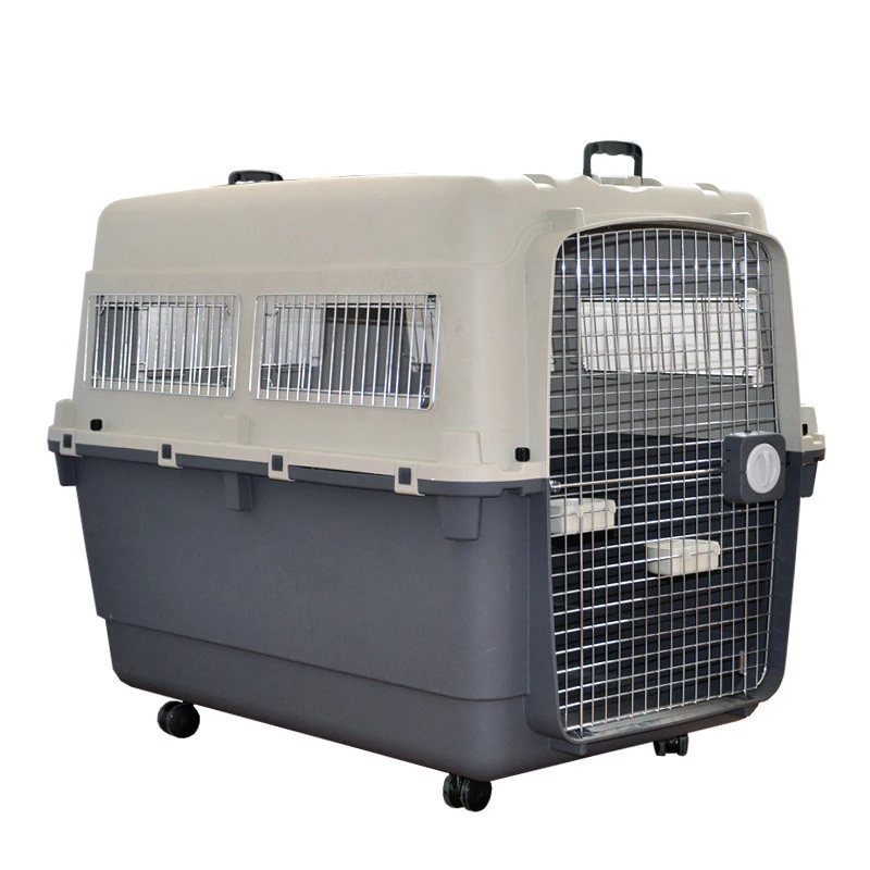 Professional Manufacture Plastic Pet Transport Box Cat And Dog Aviation ...