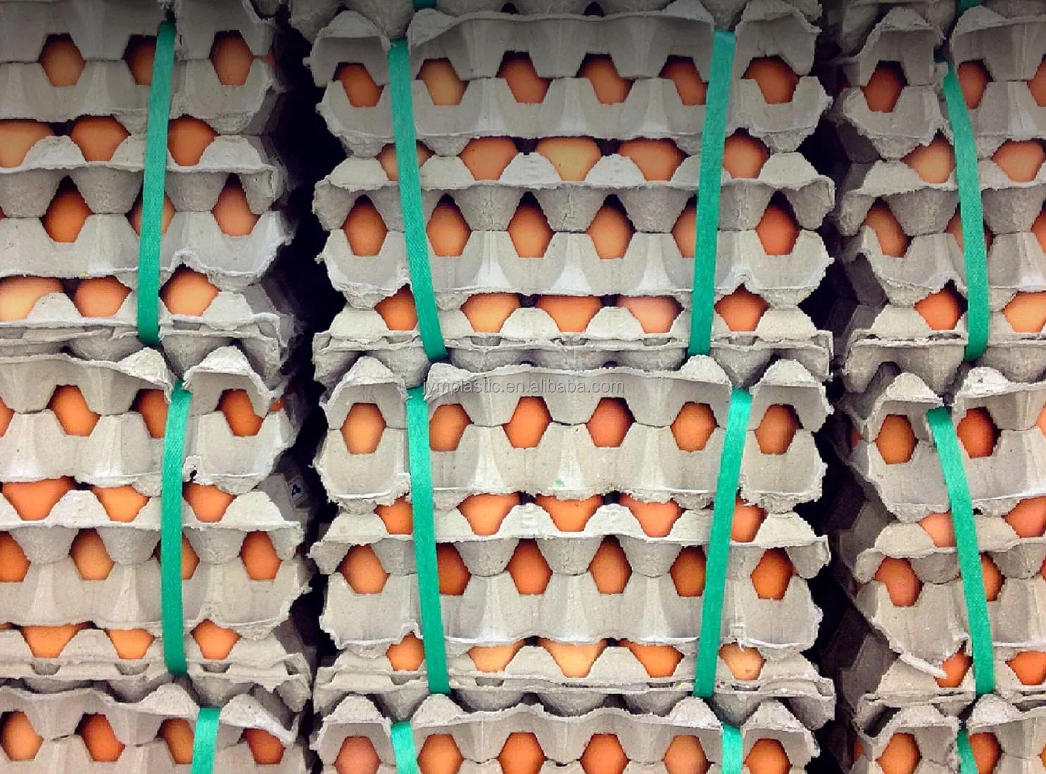 Recyclable Paper Pulp Egg Tray - Customizable Packaging