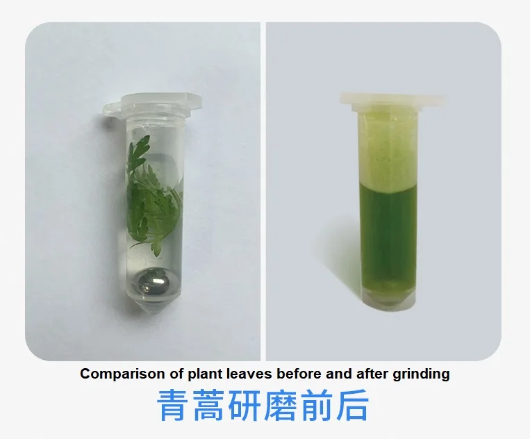 NANBEI NW-800 Tissue Grinder - High-Throughput & Efficient