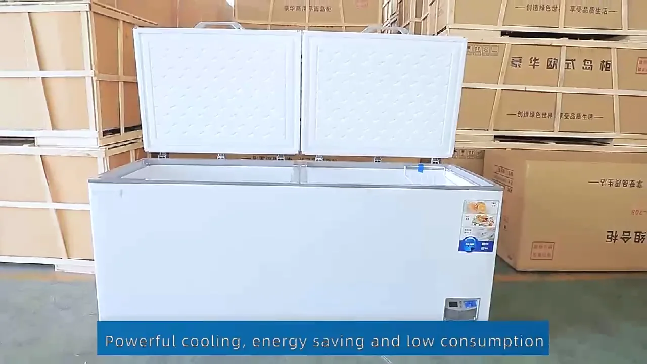 Double Doors Commercial Single Temperature Chest Deep Freezer - Buy ...