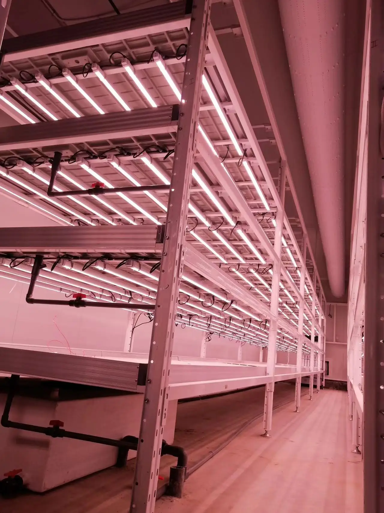 Indoor Growing Mushroom Rack Mobile Vertical Farming Rack Grow ...