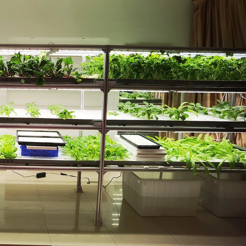 Vertical System Of Hydroponic Greenhouse Farm Hydroponic Growth System ...