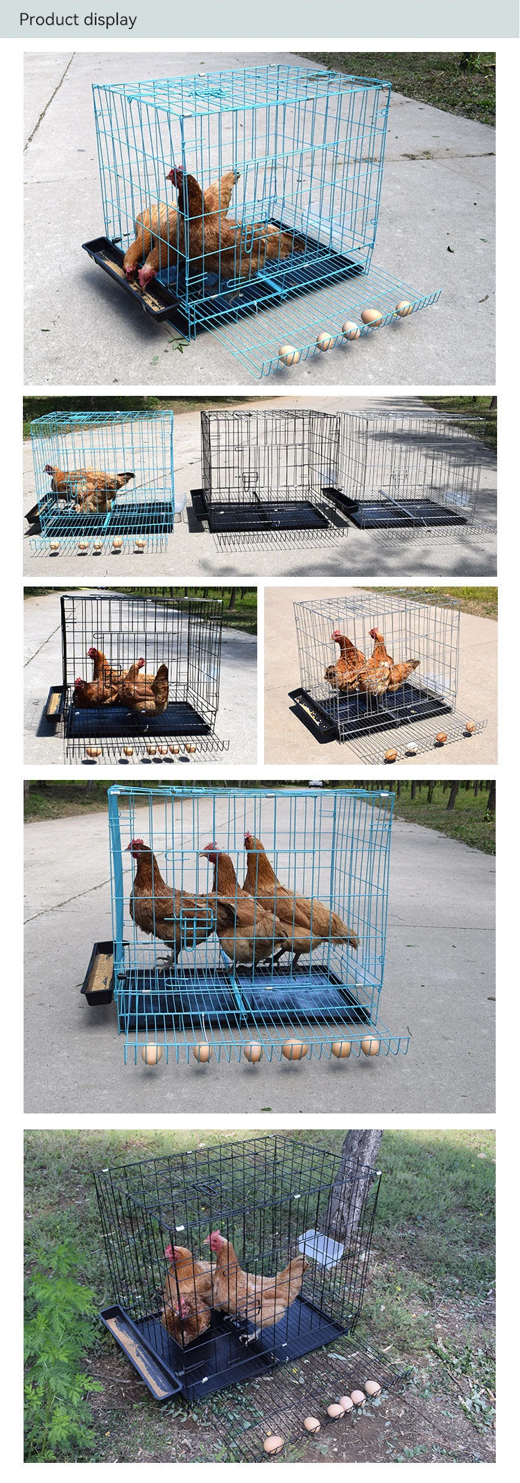 Egg Chicken Cage - Foldable Breeding Cages for Home Use