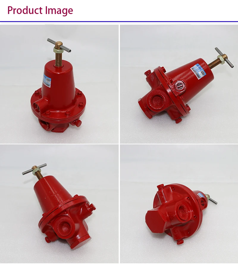 Industrial Burner LPG High Pressure Reducing Valve Rego Gas Regulator ...