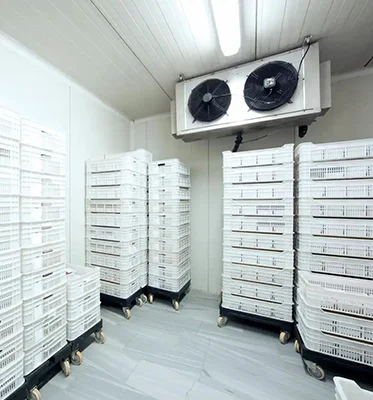 Eddaair FC180A Bipolar Ionization Devices - Efficient Air Purification