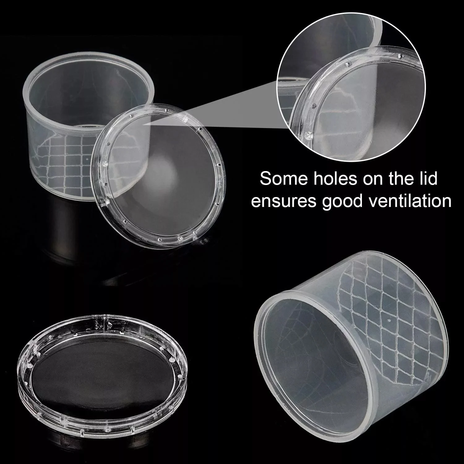 Cylindrical Acrylic Magnifier Jar Insect Container Portable Spider Bug ...